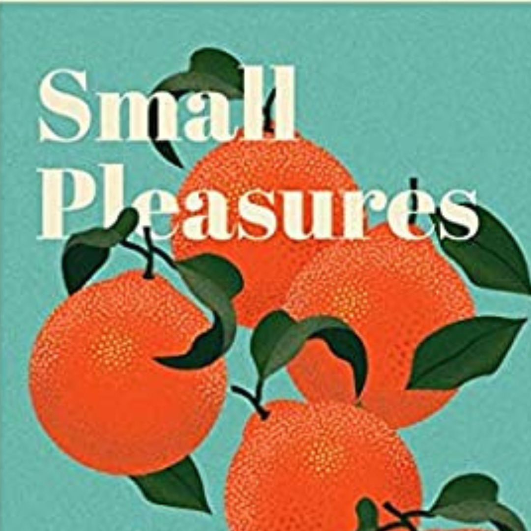 Small Pleasures : The Fiction Addiction